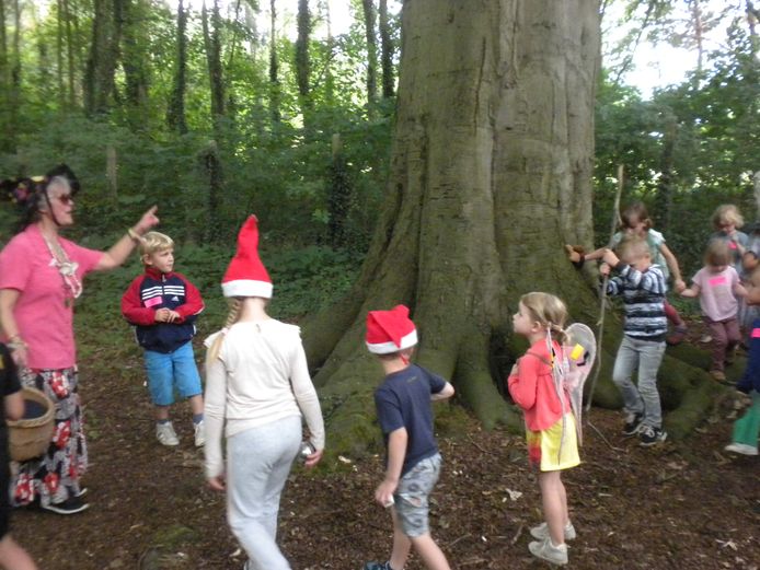 Kom op ontdekkingstocht in het Kabouterbos | Tielt-Winge | hln.be