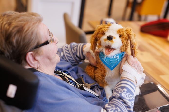 Van knuffelrobot tot slimme camera, dit verpleeghuis heeft het: ‘Niet ...