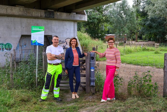 Stad Izegem introduceert hondenpoepbuizen | Izegem | hln.be
