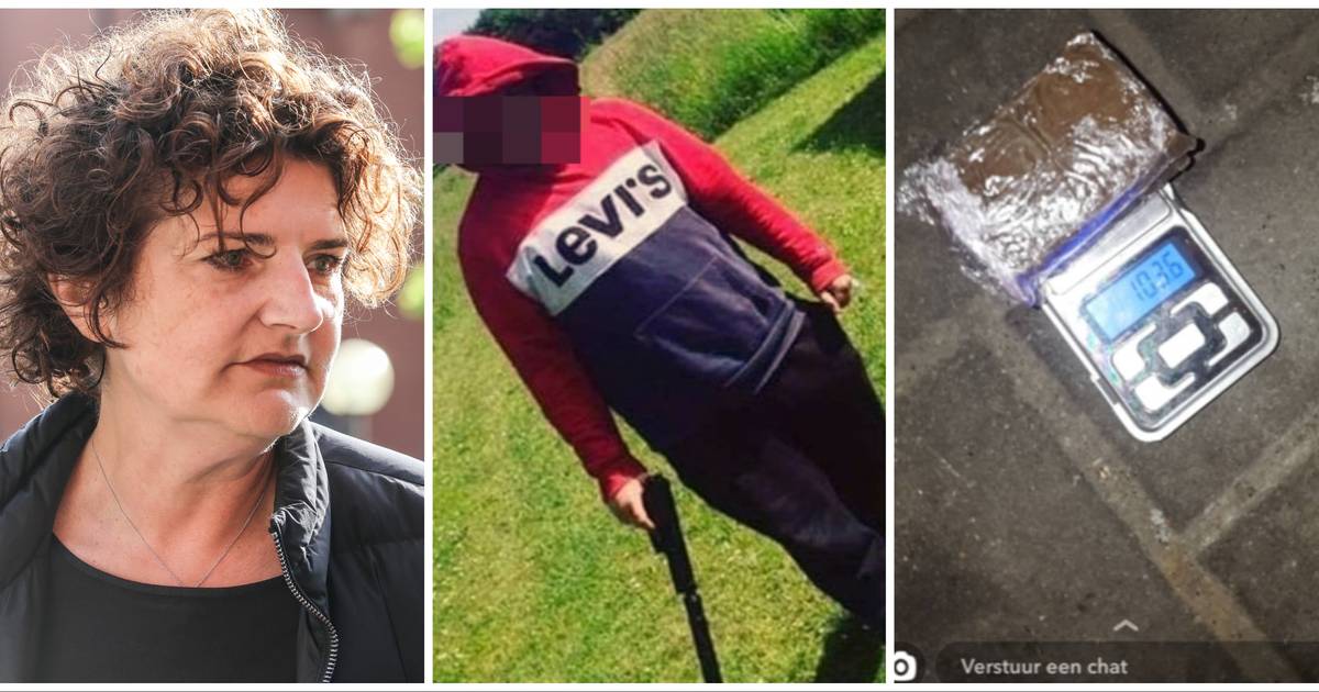 BEKENDE JEUGDBENDES. Hoe ‘de bende van Tildonk’ dorp maandenlang ...