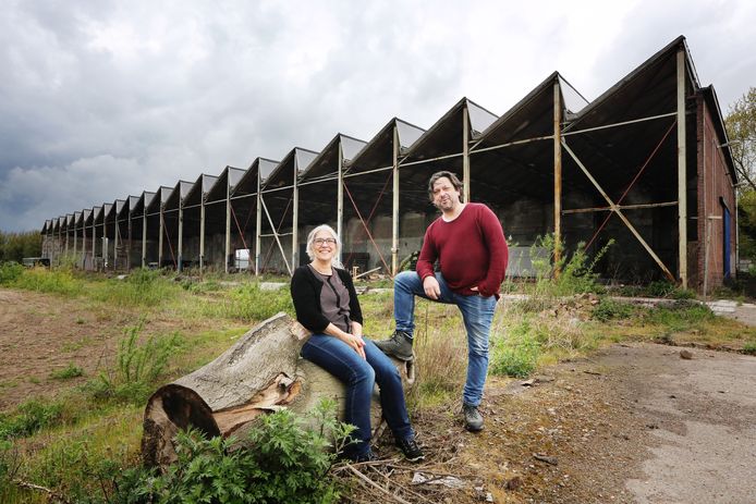 Eerste kandidaat voor hal op Backer en Rueb-terrein: ‘Dit wordt wel een ...