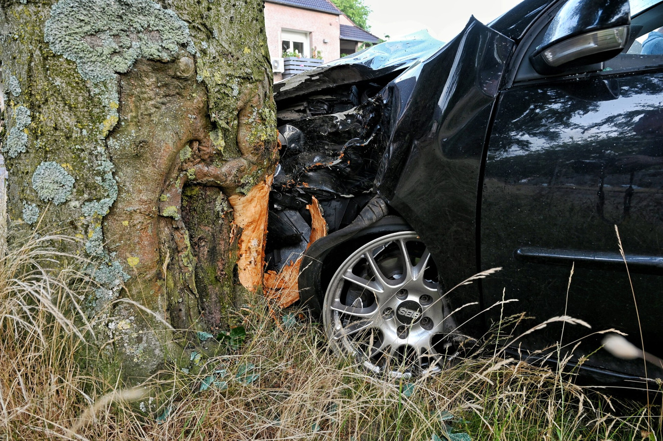 Automobilist raakt macht over stuur kwijt en botst tegen boom in Oisterwijk | Foto | AD.nl