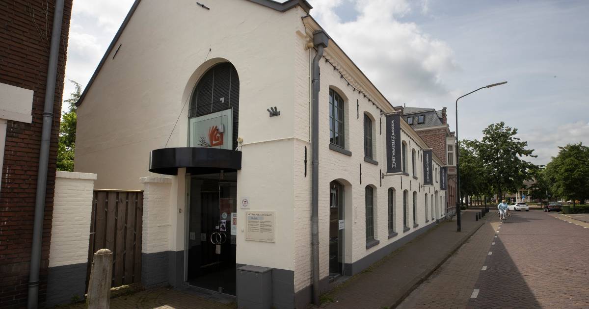 Waalres Museum moet flink aan de slag, anders stopt subsidie | Waalre | ed.nl