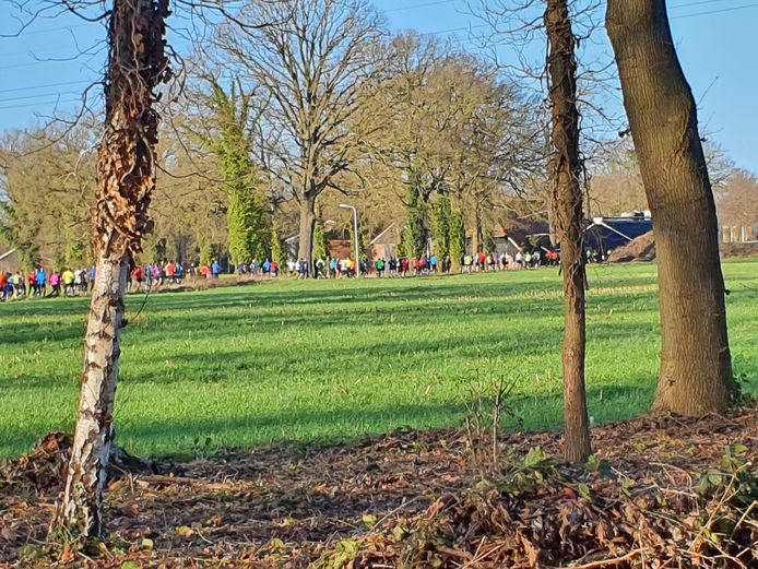 Harmen Hoek de snelste op 10 km van eerste Woolderesloop in Hengelo ...