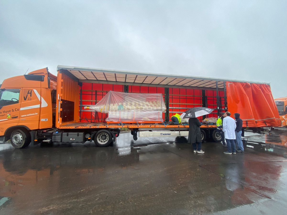 Exact 35 jaar terug lokte aangespoelde potvis Valentijn van Sint-André ...