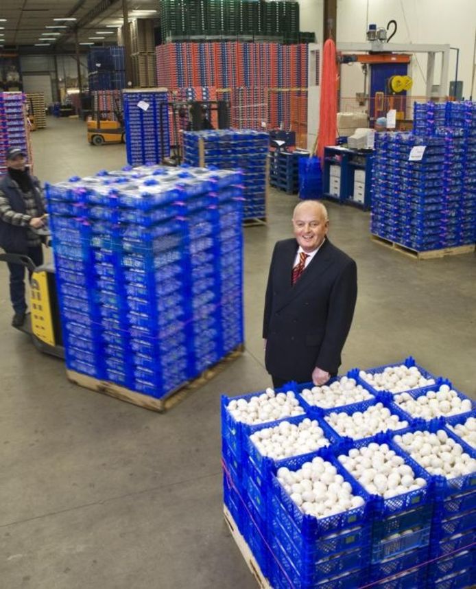 Champignon-gigant Banken van Elst naar Wijchen | Maas en Waal ...