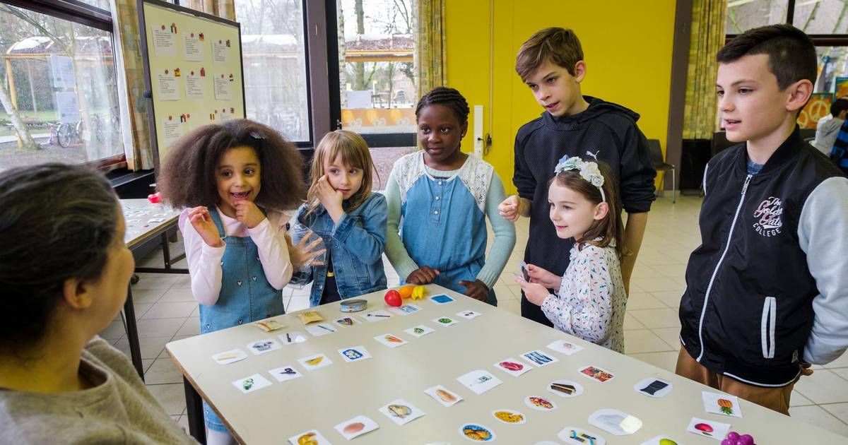 Leerlingen De Blokkendoos leren eerste woordjes Afrikaans en Arabisch | Aartselaar | hln.be