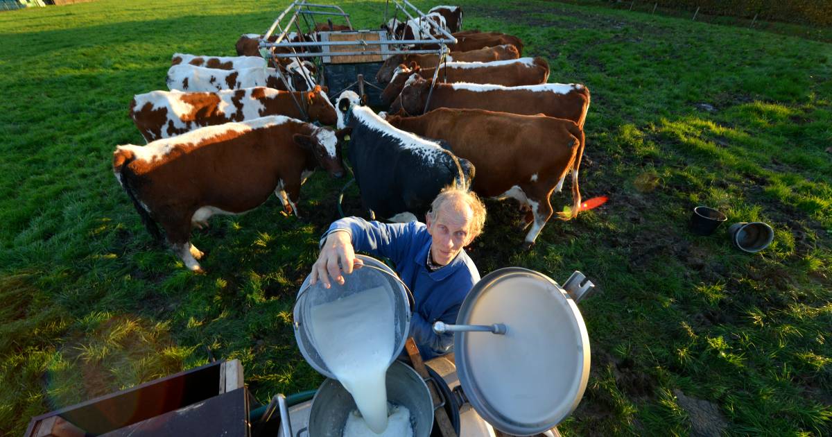 Boeren op de ouderwetse manier - boer Kees doet het | Rivierenland ...