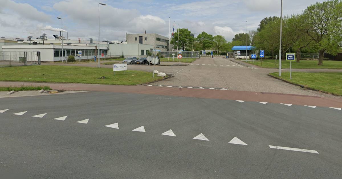 ‘Glasvezelfabrikant NEG in Westerbroek failliet verklaard’ | Midden ...