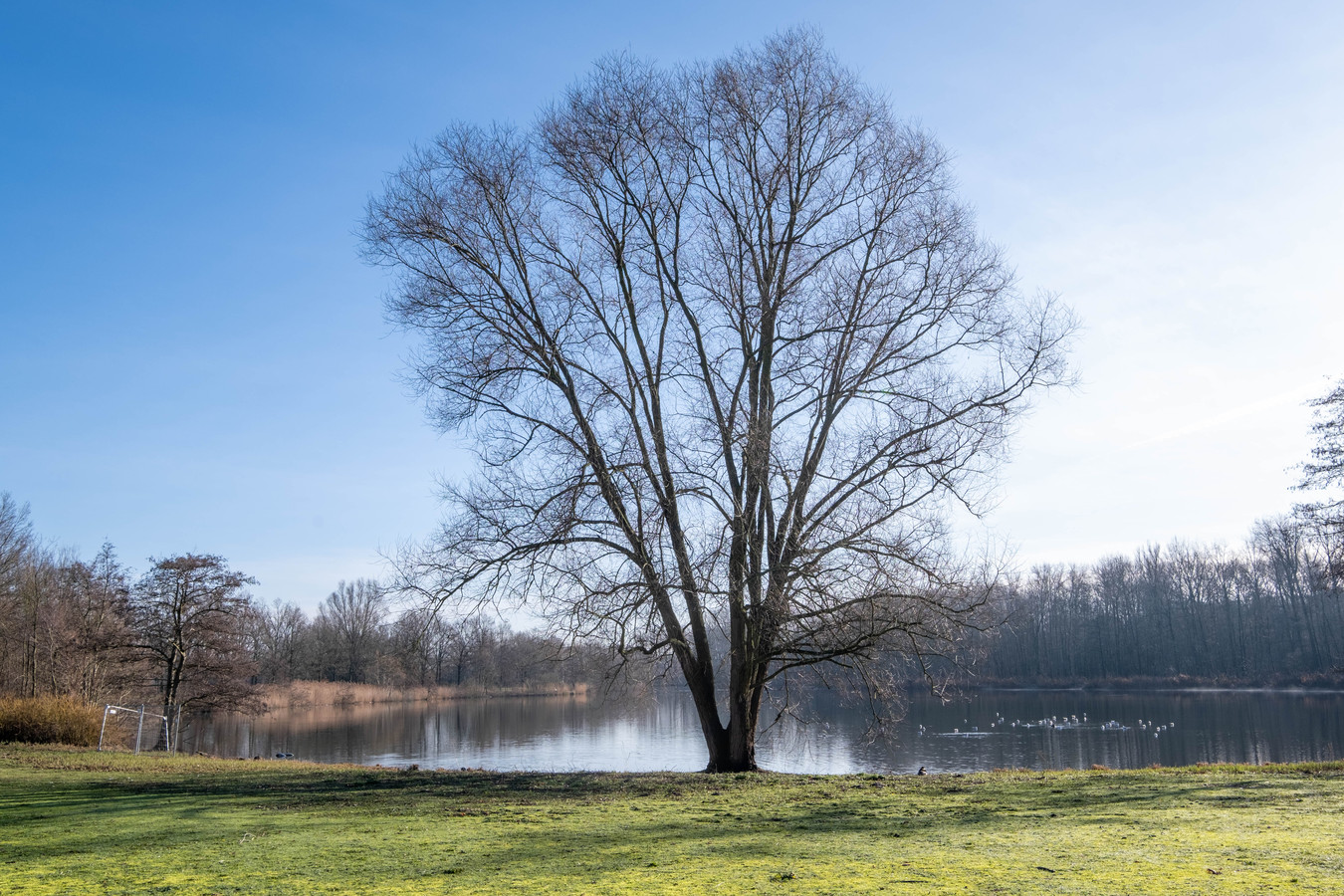 HUIZENJACHT. Bornem-centrum: “De woningprijzen liggen er hoog, maar da ...