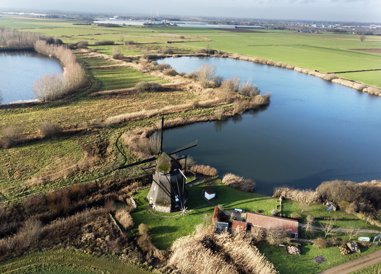 Steendert: meer bos of behoud open landschap | Foto | AD.nl