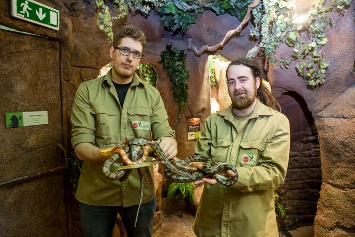 Dakloze dieren Aquatopia vinden thuis aan zee | Blankenberge | hln.be