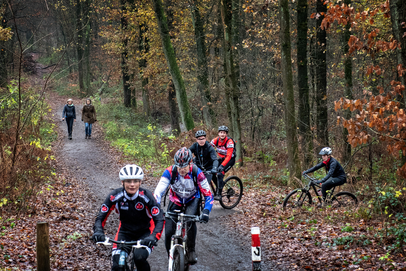 Mountainbikers in het bos: een plaag of juist slimme manier om ze op ...