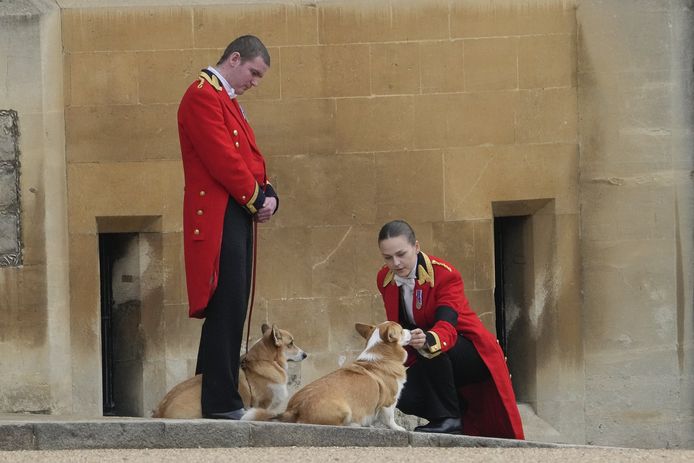 Sarah Ferguson partage les premières images des corgis de la reine ...
