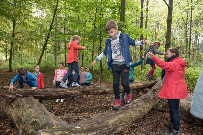 8 tips voor een verkoelende wandeling in de Vlaamse Ardennen: van ...