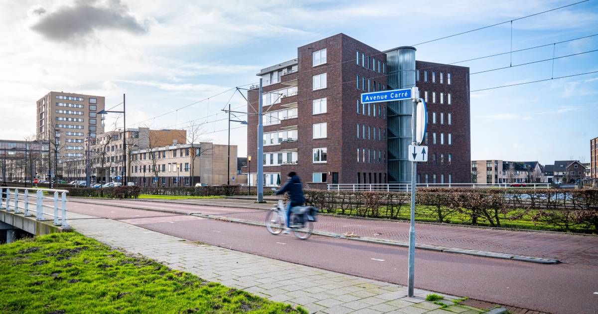 Veertien jongens aangehouden na straatroof in Barendrecht | Rotterdam | AD.nl