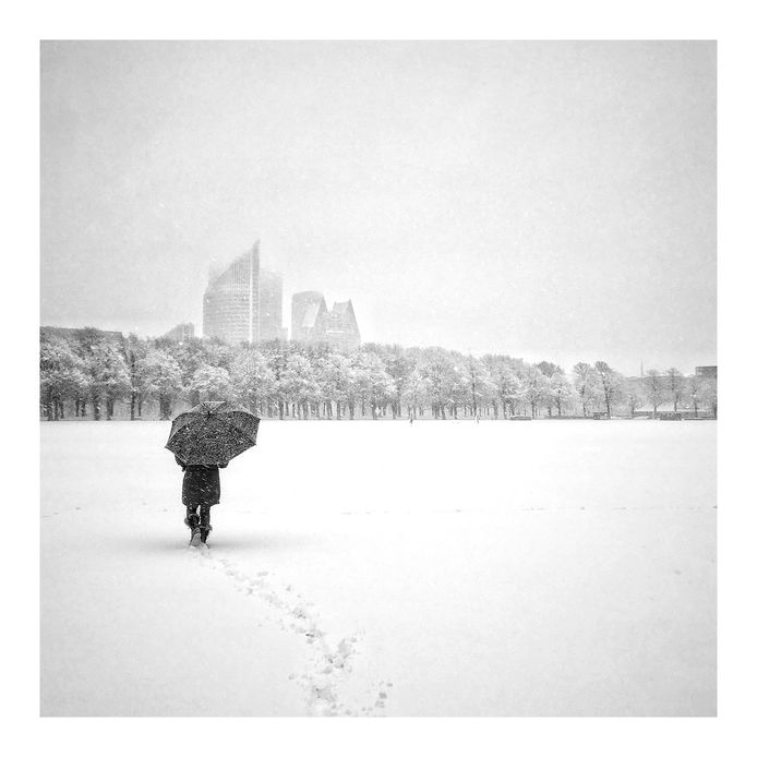 In beeld: de mooiste winterfoto's uit de regio | Den Haag | AD.nl