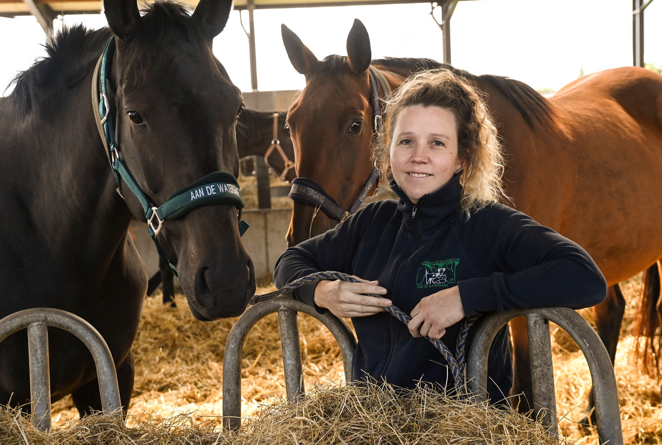 Tot 40.000 euro voor één rietje: het wereldwijde succes van Vlaams ...
