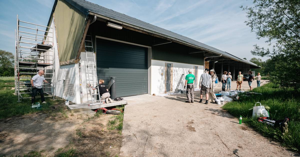 Herenboerderij De Groote Heide opent poorten én deuren; nieuwe schuur ...