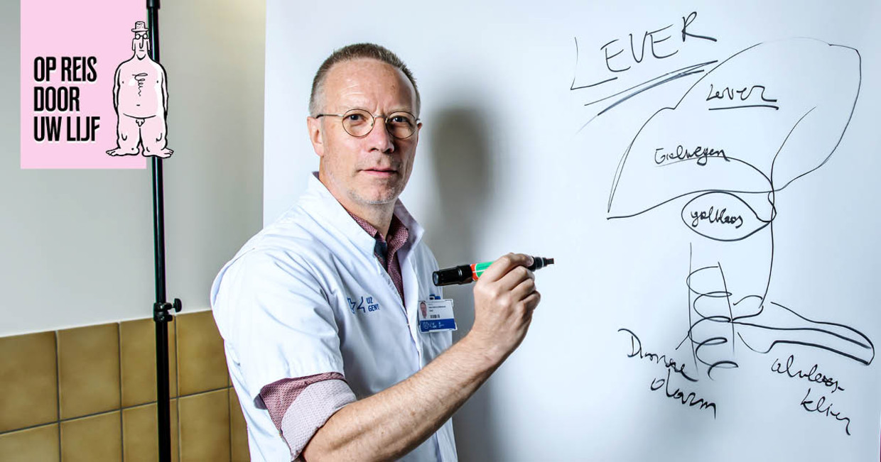 Topdokter Hans Van Vlierberghe over onze lever: ‘Alcohol is altijd ...