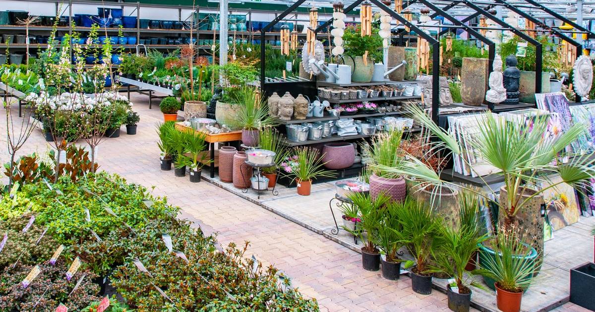 Tuincentrum Vechtweelde is vernieuwd! Dit is waarom je binnen wil ...