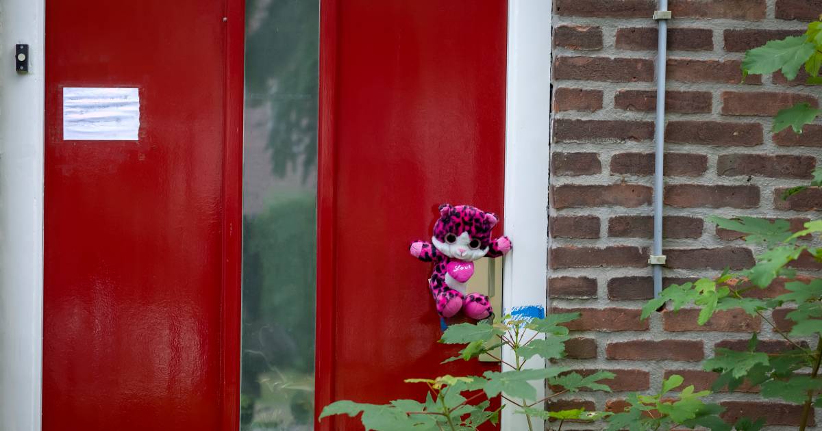 Toestand van Vlaardings pleegmeisje nog altijd zeer zorgelijk, pleegouders volgende week voor de ...