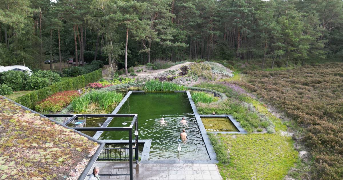 De Posthoek onthult de ongedwongen charme van naturisme: ‘Mensen gaan met respect met elkaar om ...