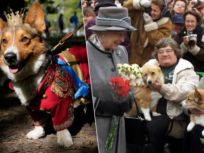 SHOWBITS. De vrouw van Staf Coppens draait door en de manager van Karen ...