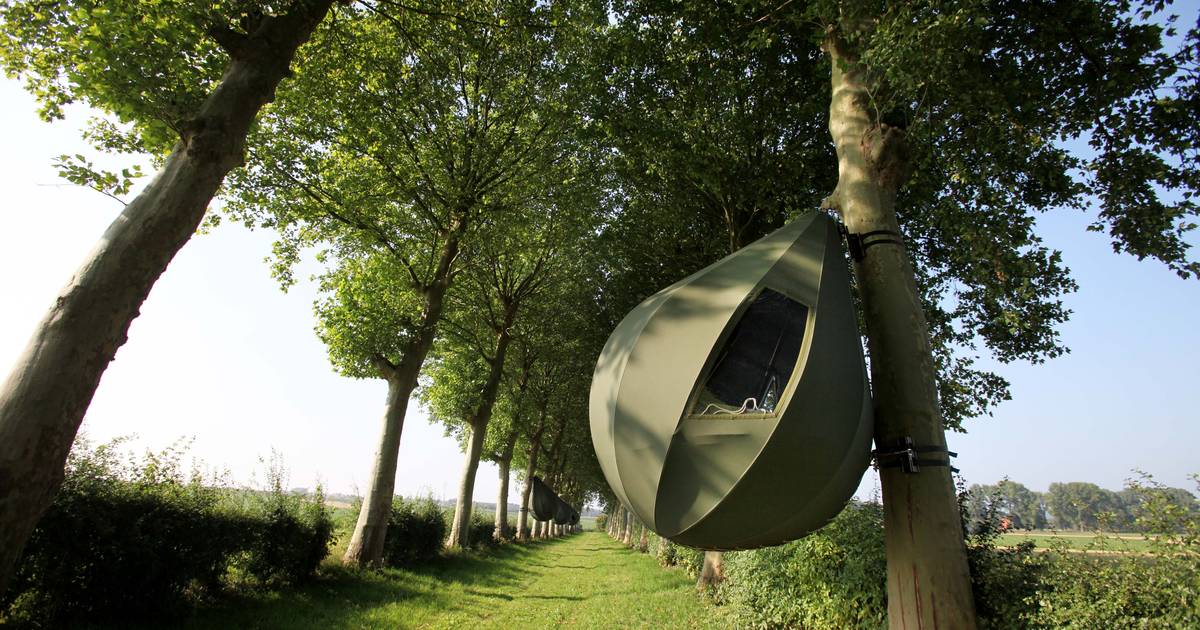 In en rond de oudste stad van Vlaanderen: ontdek de geschiedenis van ...