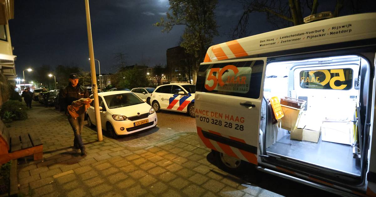 Hond bijt tijdens uitlaten kat dood | Den Haag | AD.nl