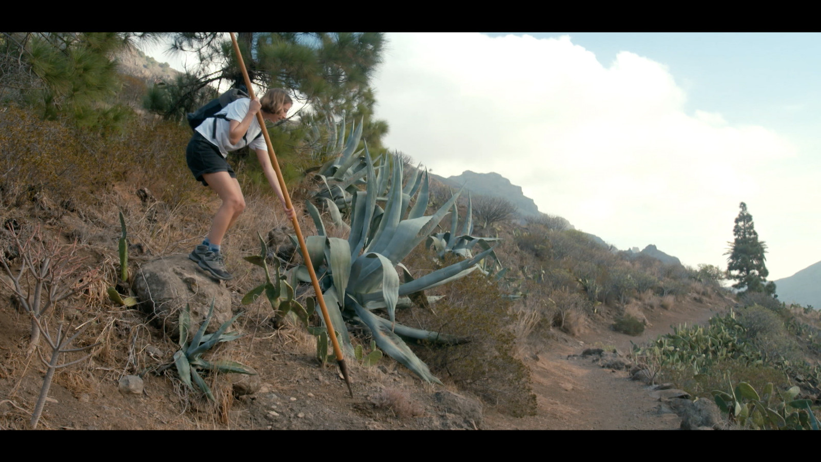 De drie finalisten van ‘De mol 2022' zijn bekend: wie kreeg er vlak ...