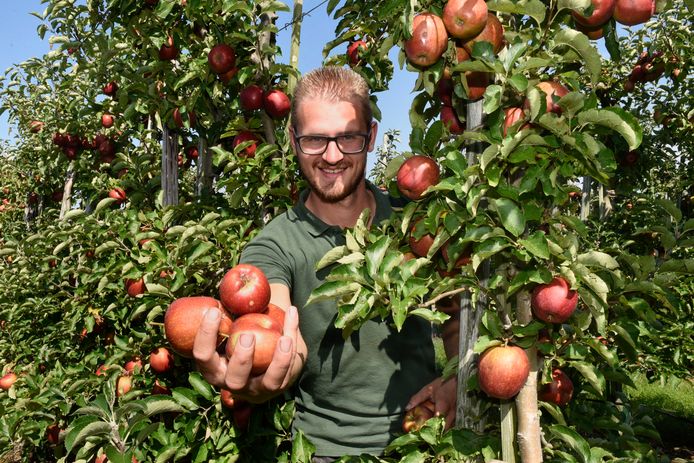 Robins appeloogst werd verwoest door zware hagelbui en financiële strop ...