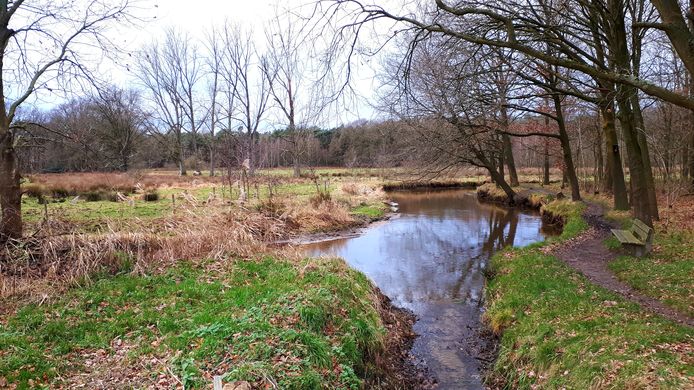 De Dommel komt vol poepbacteriën ons land binnen: ‘Eigenlijk is het een ...