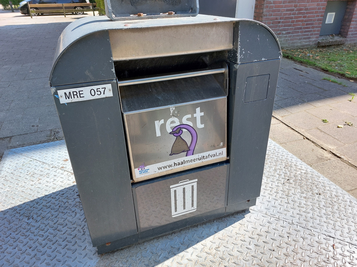 Kitten Lina gered uit container: ‘Toen ze thuiskwam, begon ze druk ...