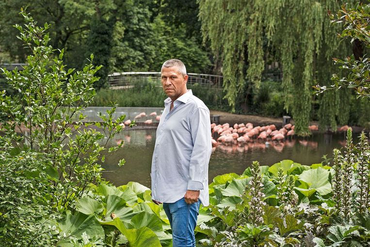 Martin Kok ontsnapte vlak voor zijn dood al aan moordaanslag, dit zijn ...