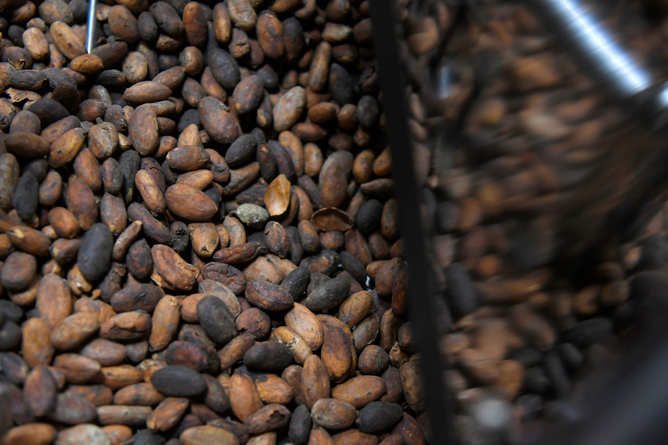 Na recordprijs cacao nu grootste daling ooit: ruim kwart lager in twee ...