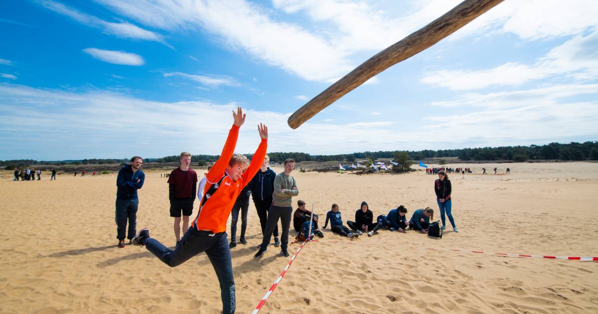 Boomstammen werpen op het zand van de Hoge Veluwe | Ede | gelderlander.nl