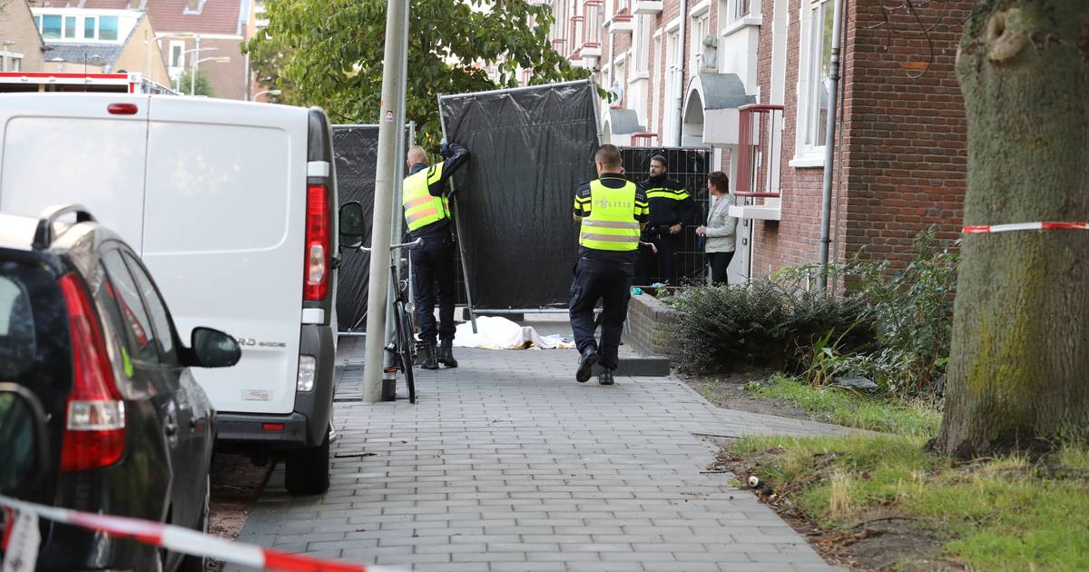 Vrouw dood aangetroffen op straat in Den Haag, man aangehouden | Binnenland | AD.nl