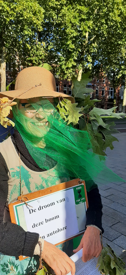 Bossche binnenstad autovrij? Niet iedereen verlangt dat | Foto ...