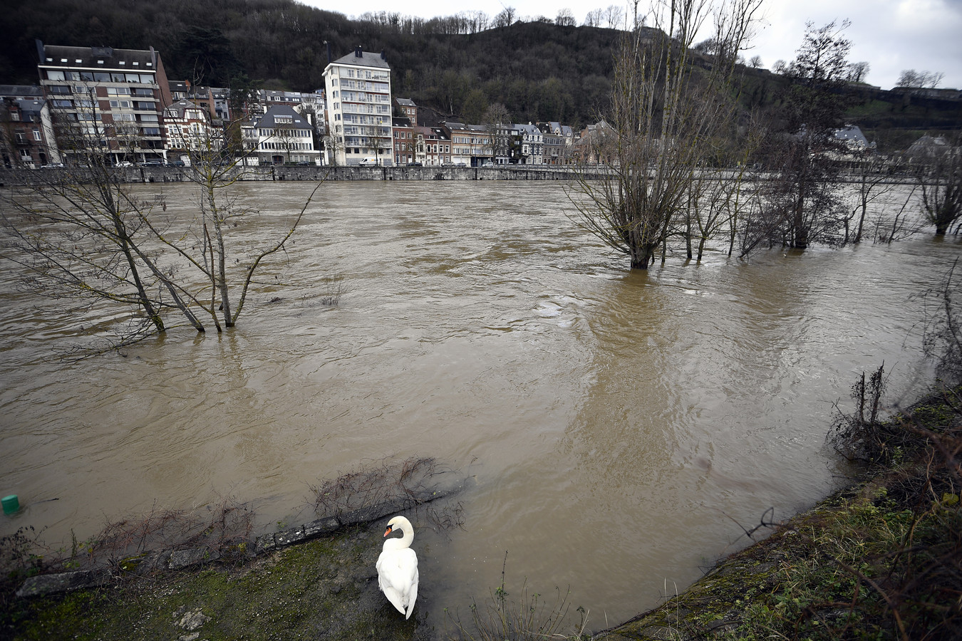 La Haute Meuse, la Haute Semois et la Chiers en pré-alerte de crue ...
