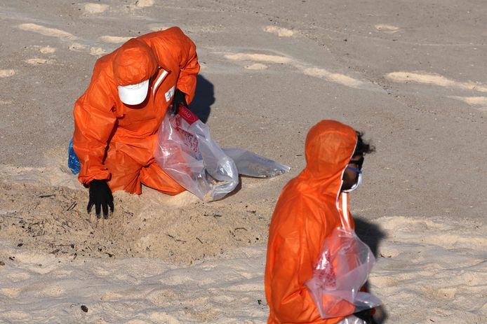 Mysterieuze Ballen Op Stranden Sydney Vormen Geen Gevaar Voor