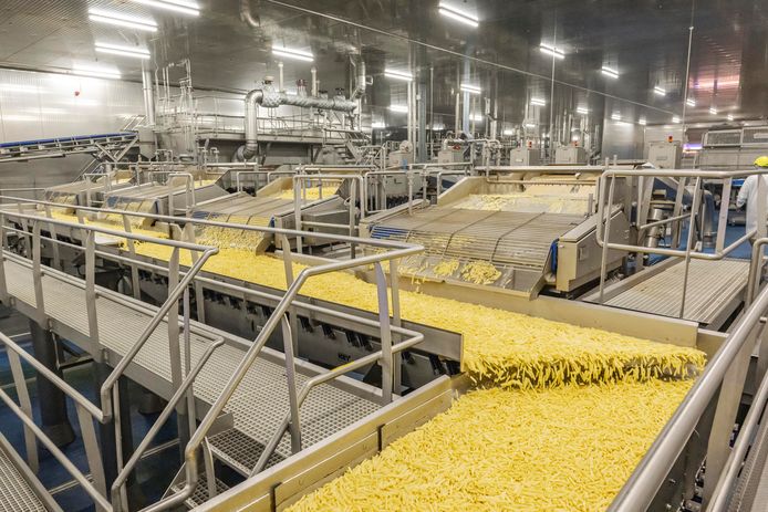 Modernste frietfabriek van Europa opent vandaag in ons land: 3,5 ...