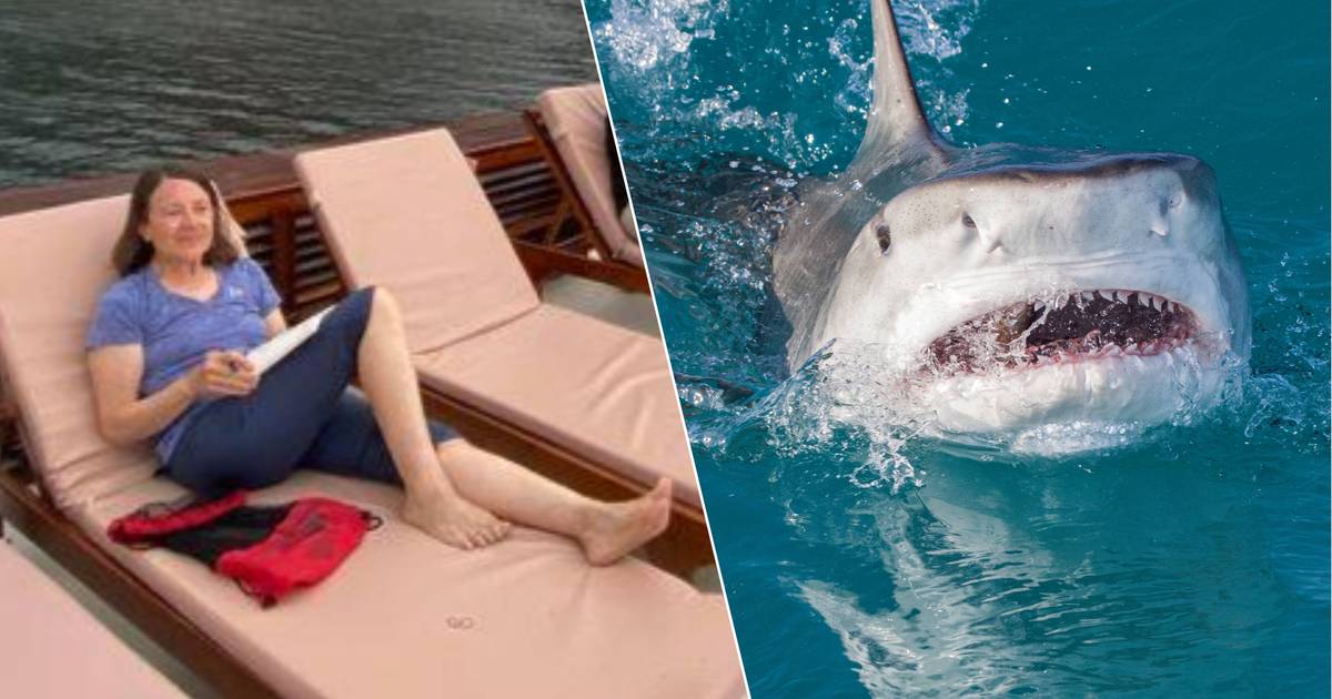 Visser ziet haai in nood, dier blijkt zich te verslikken in ...