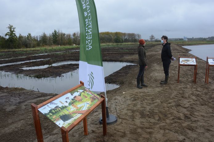 Otter krijgt 7 hectare nieuw leefgebied in Polders van Kruibeke ...