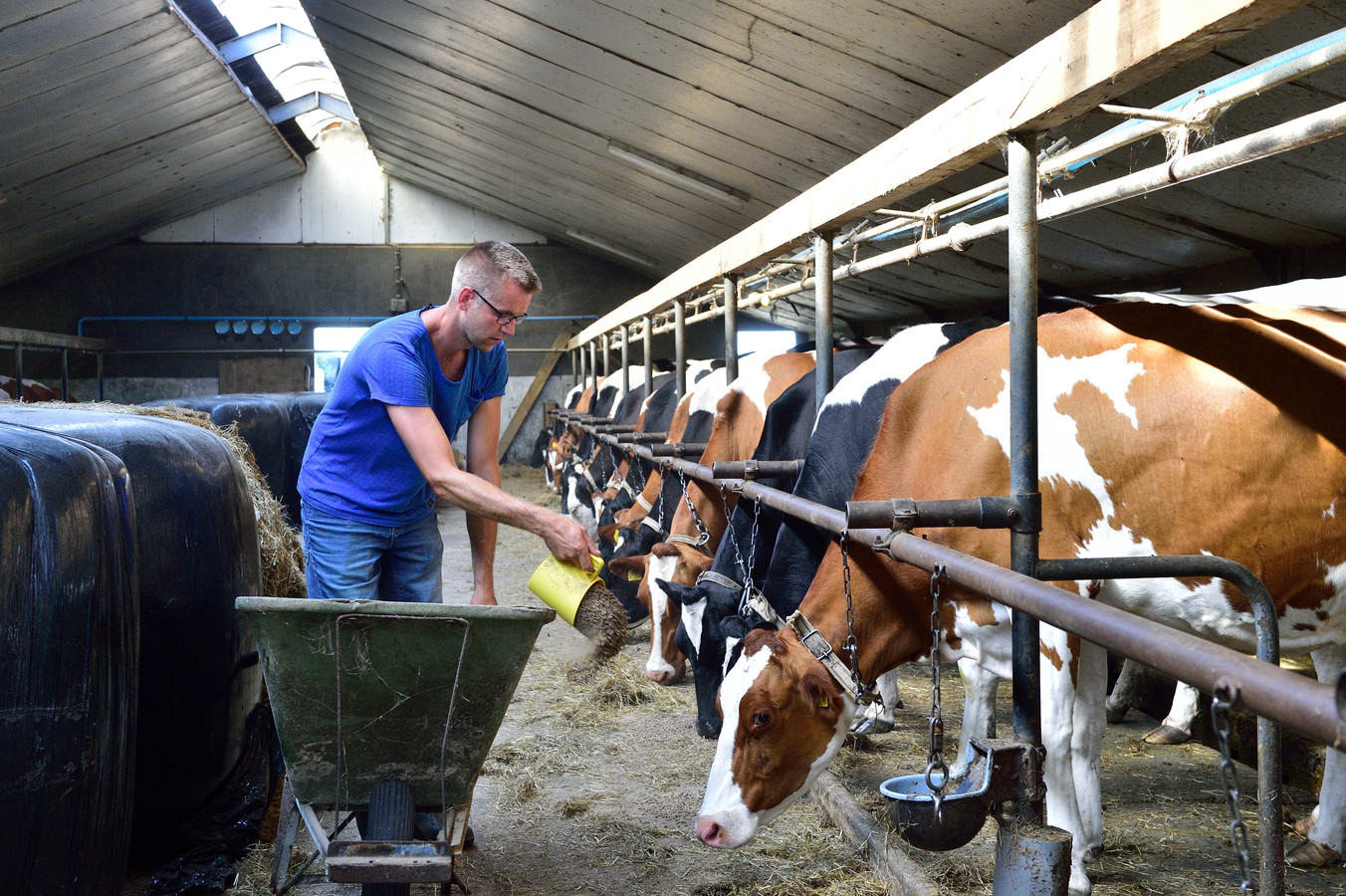 Familie boer Bert gefrustreerd na tractorongeluk: ‘Strooi geen ...