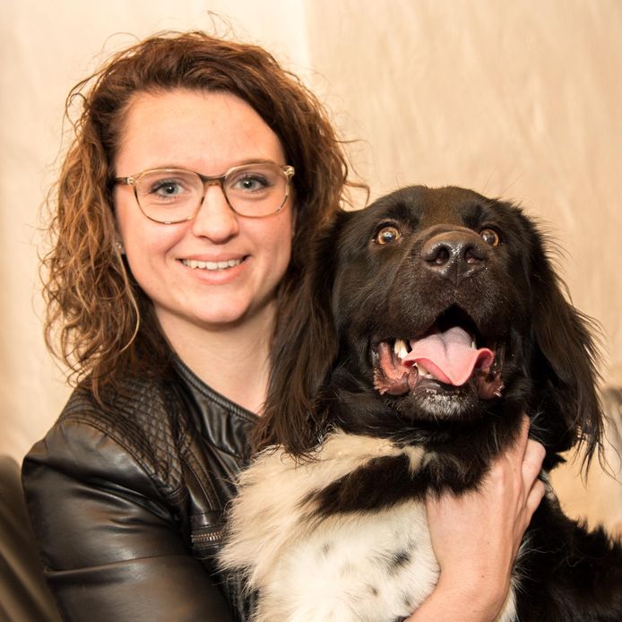 Hond Buddy vluchtte voor het geknal met Nieuwjaar maar is nu zes dagen ...