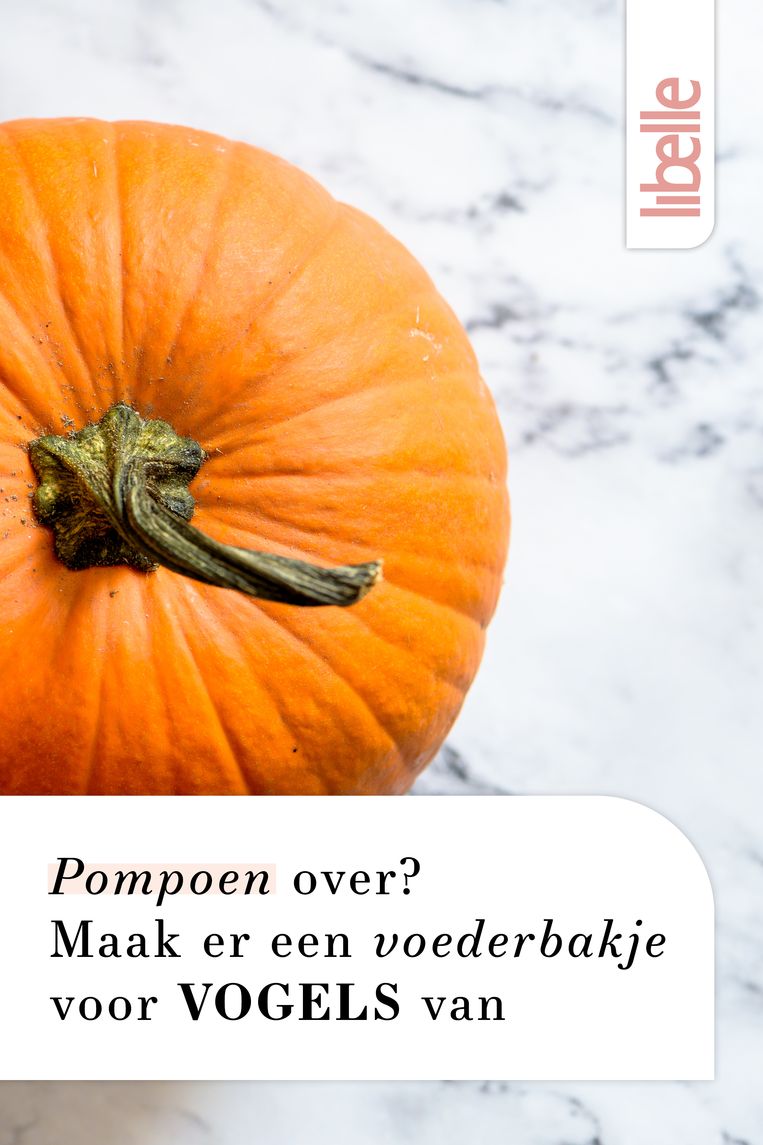 Pompoen over? Maak er een voederbakje voor vogels van