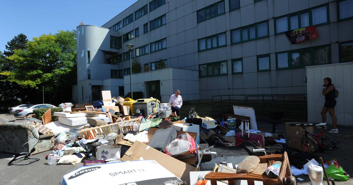 Elke dag vijf sluikstorten: werknemers Interza ruimden dit jaar al 16 ... Elke dag vijf sluikstorten: werknemers Interza ruimden dit jaar al 16 ...