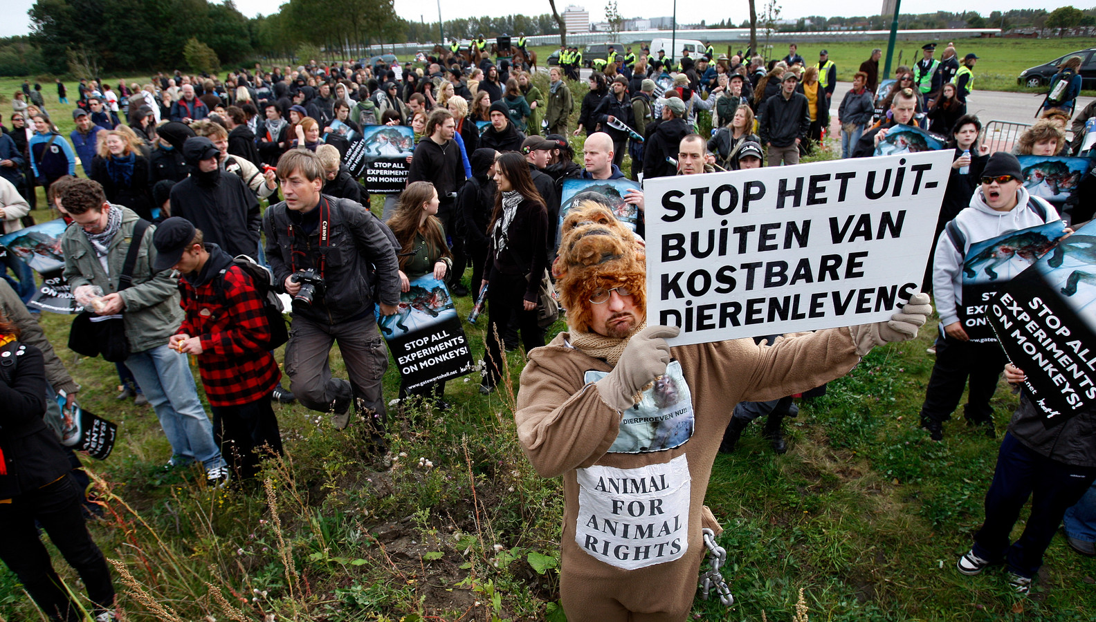 Nederlandse wetenschappers ontdekken: Java-apen inzetbaar in strijd ...
