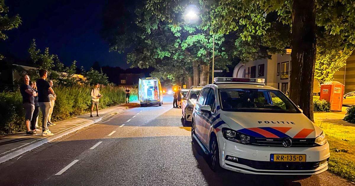 Melding steekpartij Eerbeek: politie pakt drie mannen en vrouw op ...